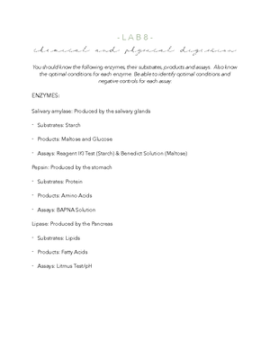 Lab 8 - Urinary System Objective LIST - Lab 8 - URINARY SYSTEM ...