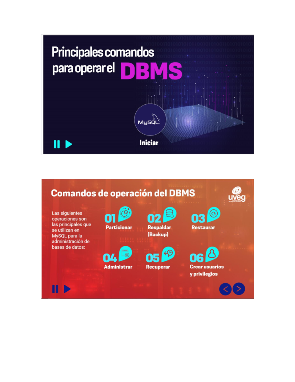 Lección 4. Principales comandos para operar el DBMS - Administración de Bases de Datos - Studocu