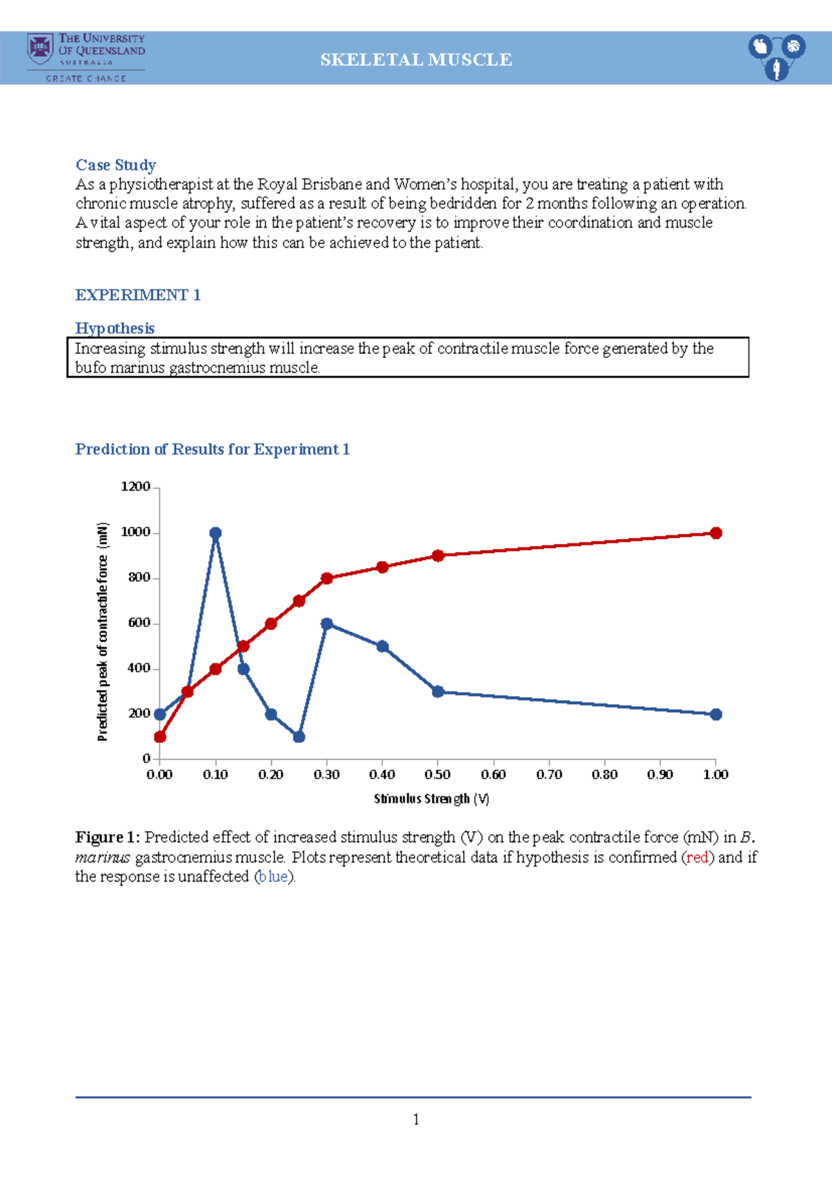 Skm report - cool - Case Study As a physiotherapist at the Royal ...