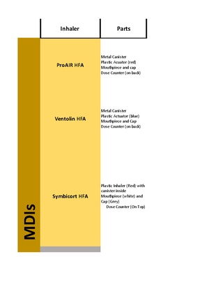 Inhaler Study Guide - Inhaler Parts ProAIR HFA Metal Canister Plastic ...
