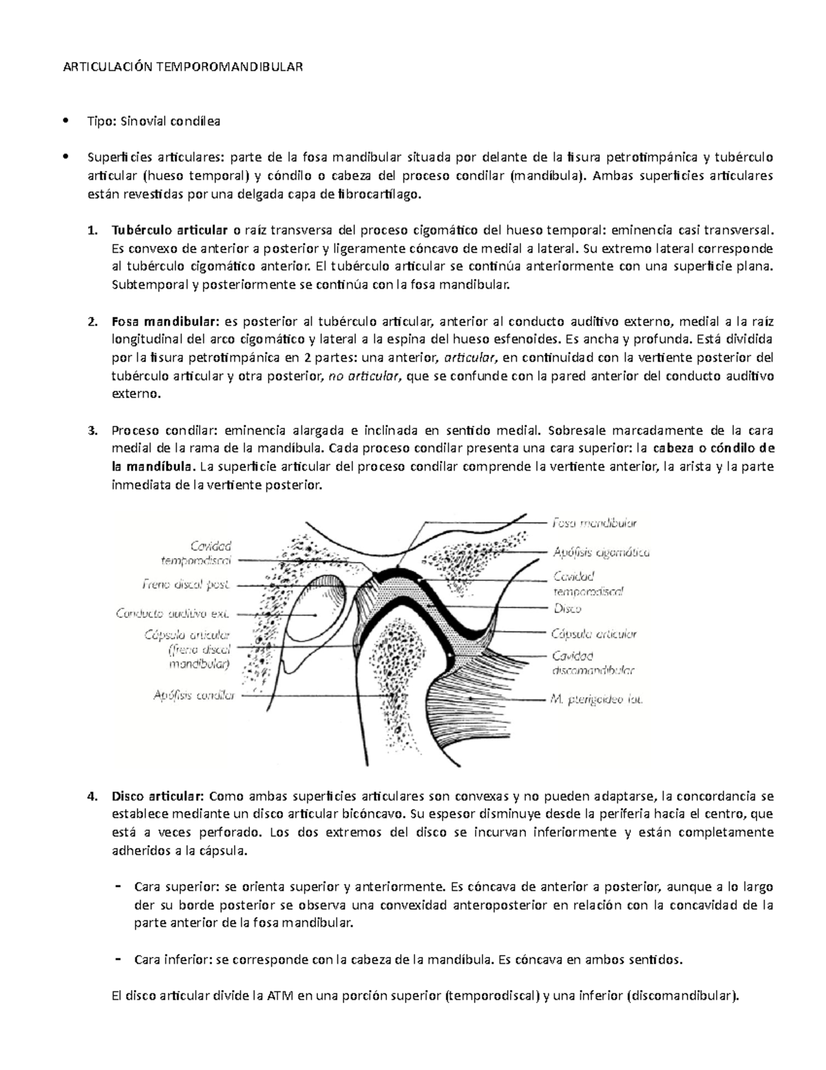 Articulaciones Cabeza Y Cuello - ARTICULACIÓN TEMPOROMANDIBULAR Tipo ...