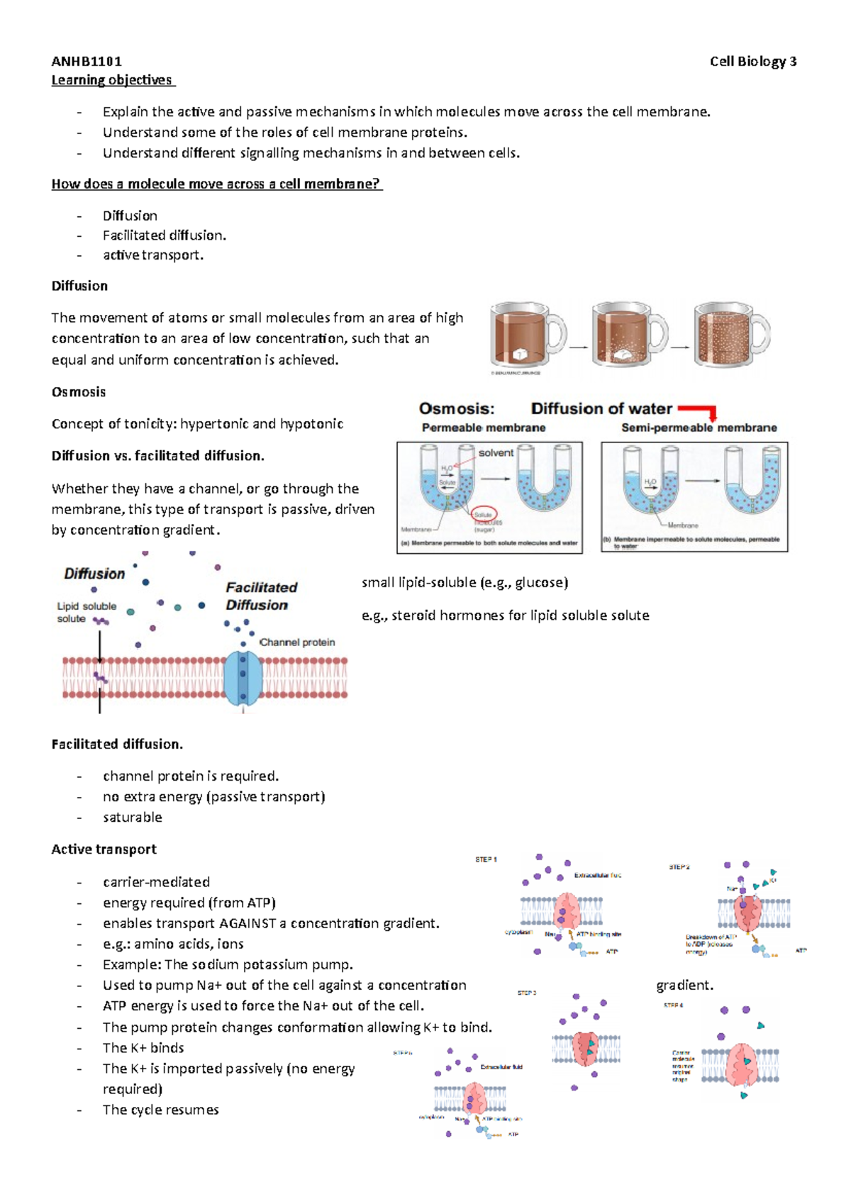 Cell Biology Lectures - ANHB1101 Cell Biology 3 Learning objectives ...