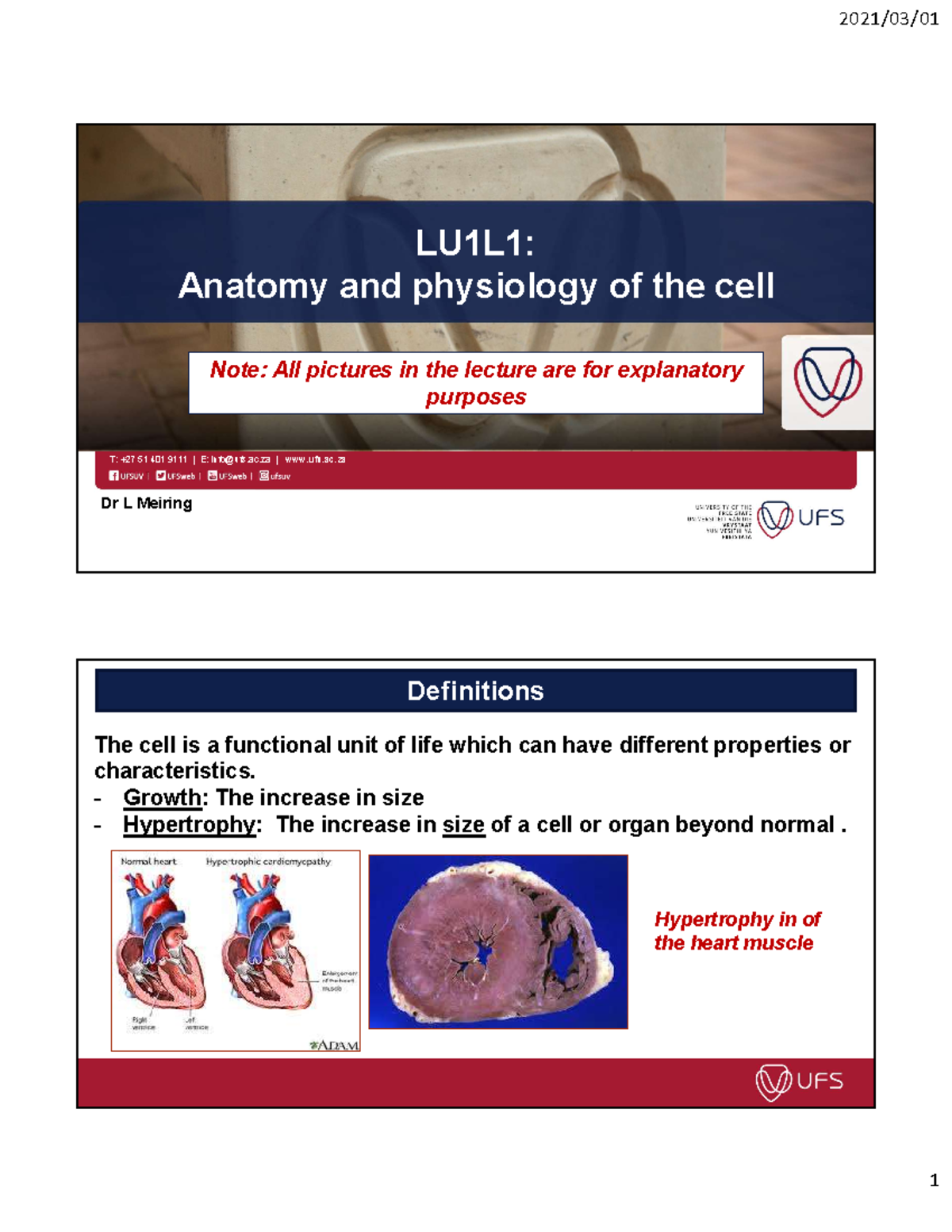 Learning Unit 1 Lesson1 The cell - LU1L1: Anatomy and physiology of the ...