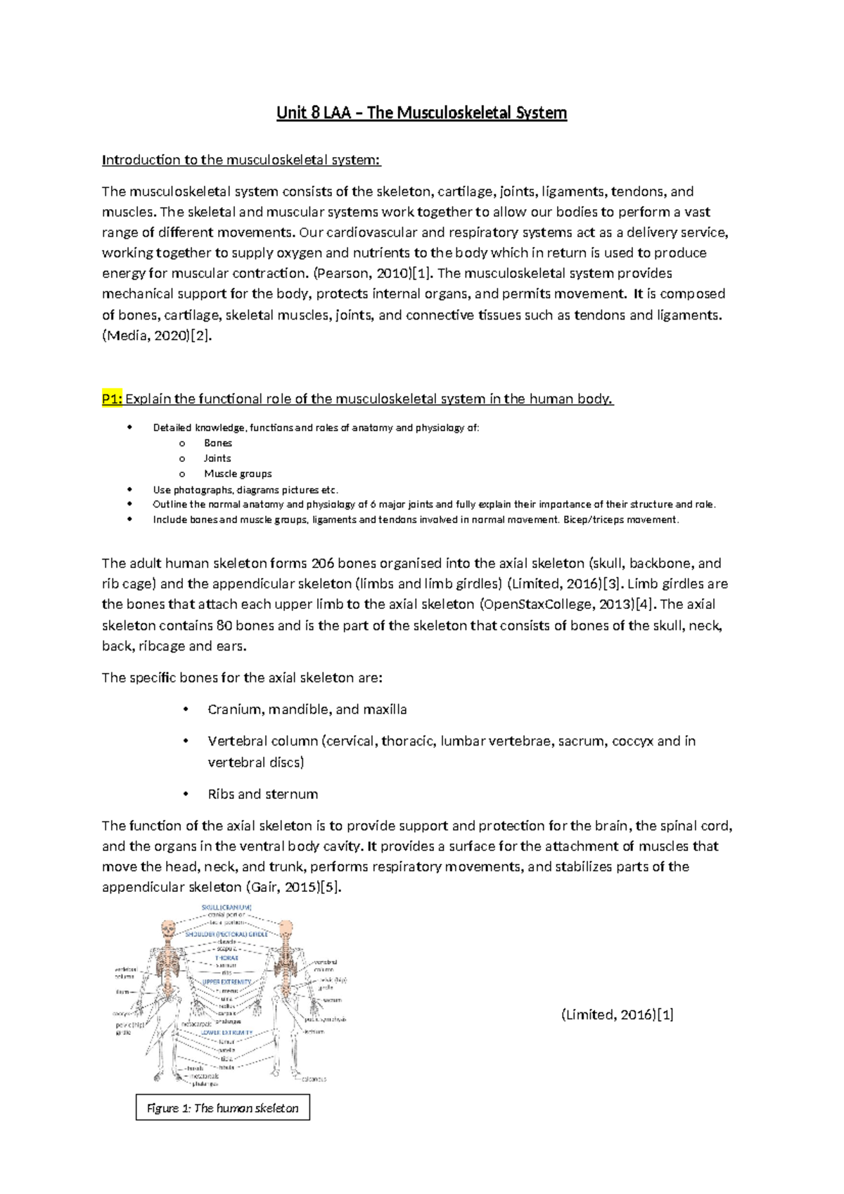 Unit 8 Assignment 5 11 23 Final - Unit 8 LAA – The Musculoskeletal ...