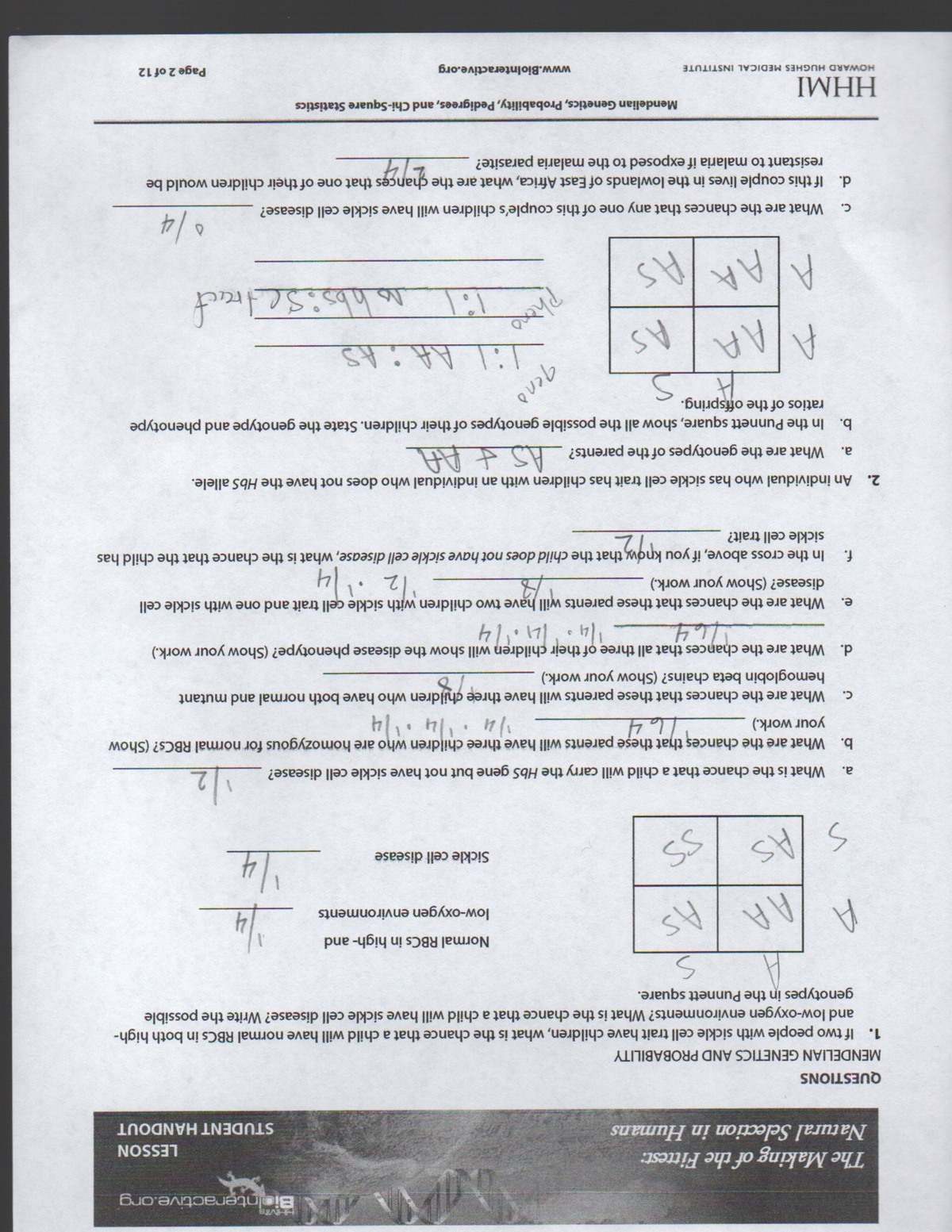 Sickle Cell Packet - Worksheet - BIO 201 - Studocu