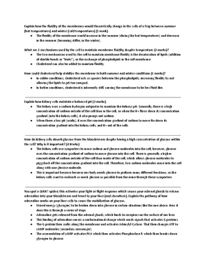 Jb ise intro before - lecture notes - ©2024 Jeremy Balka Supporting ...