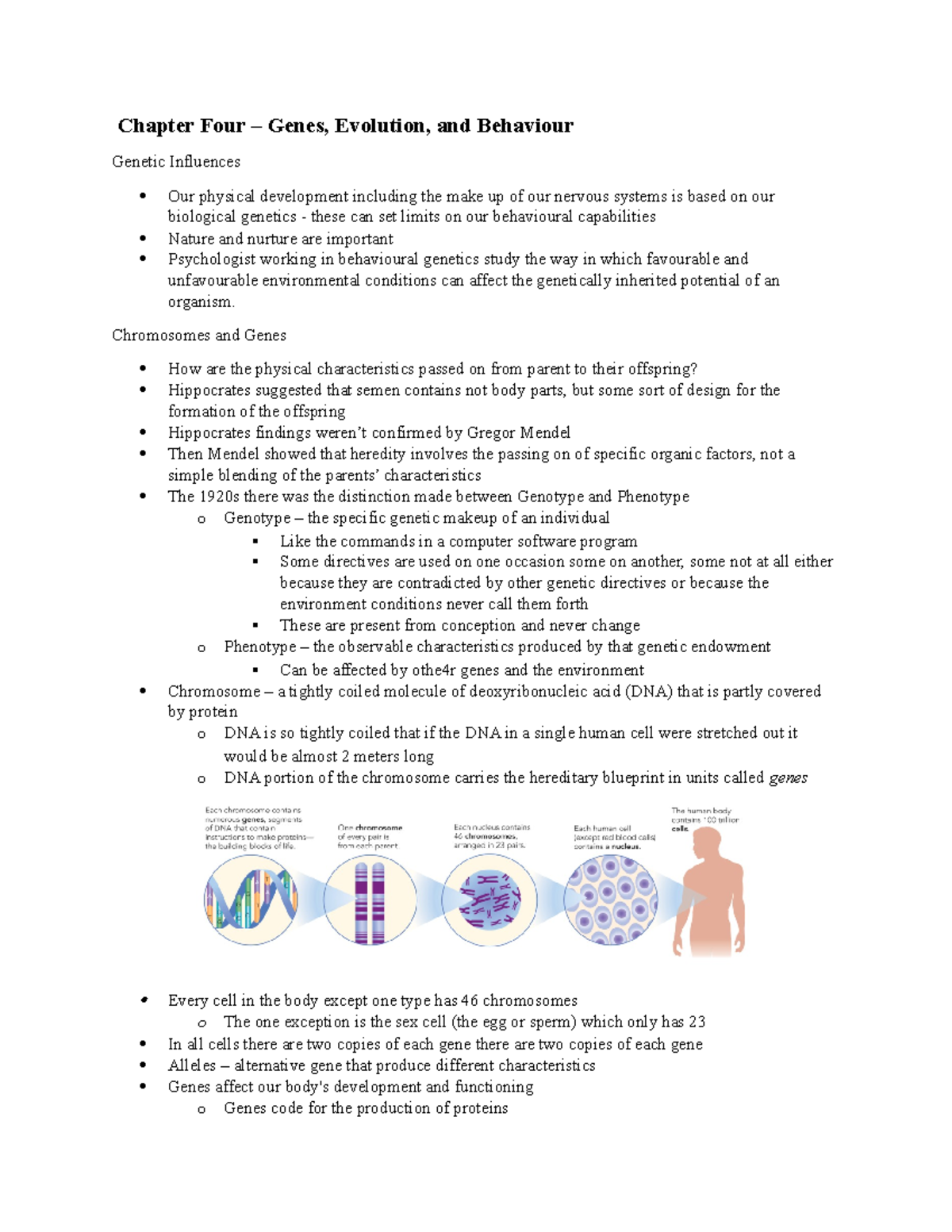 Psych 1000 Reading Notes - Chapter Four – Genes, Evolution, and ...