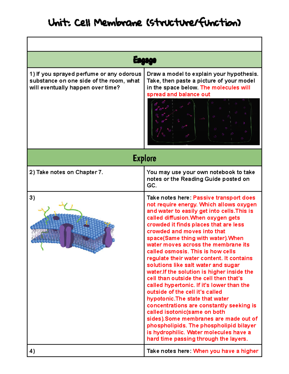 Cell Membrane (structure function) Hyperdoc - Unit: Cell Membrane ...