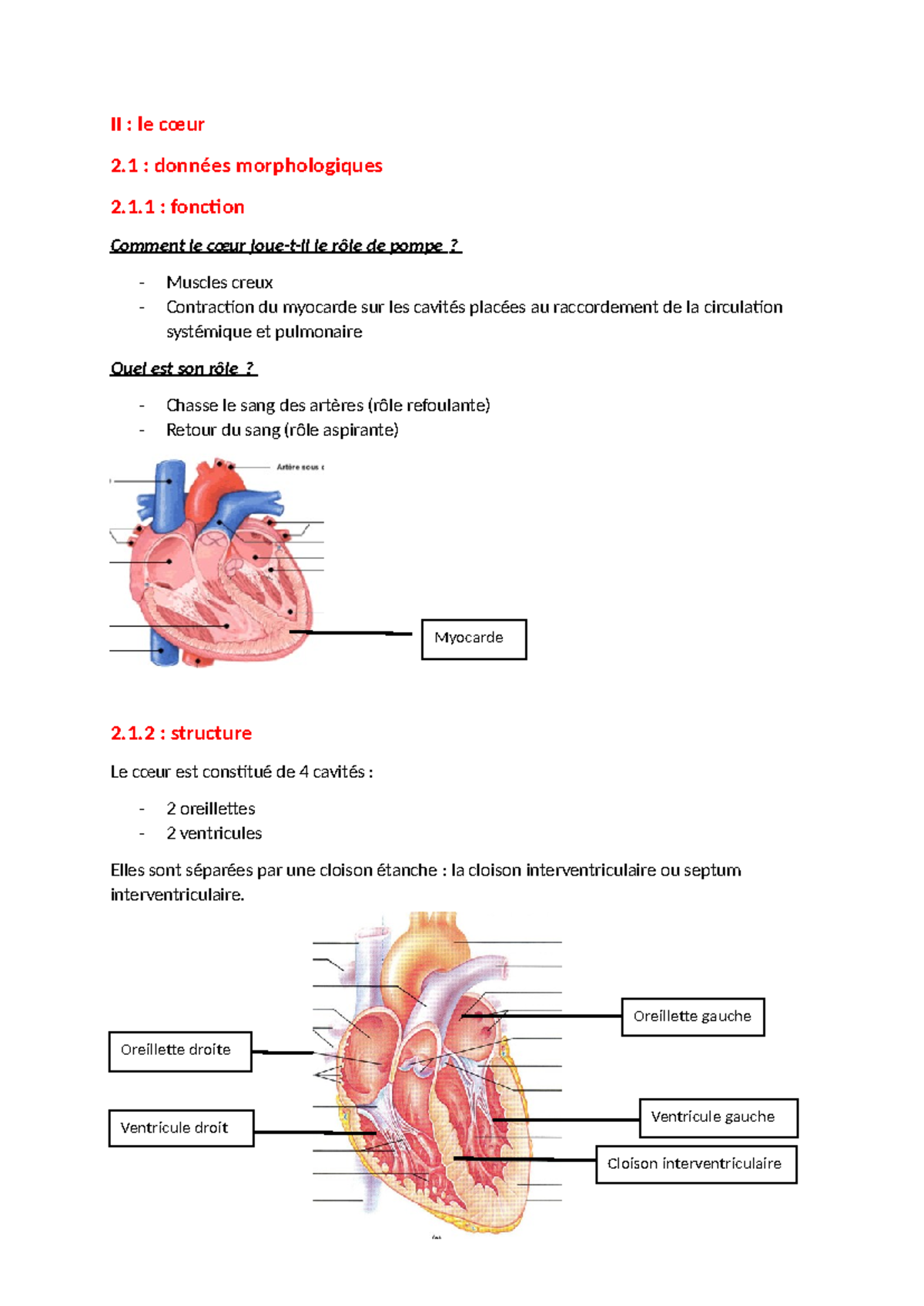 Système cardio vasculaire le coeur - Myocarde II : le cœur 2 : données ...