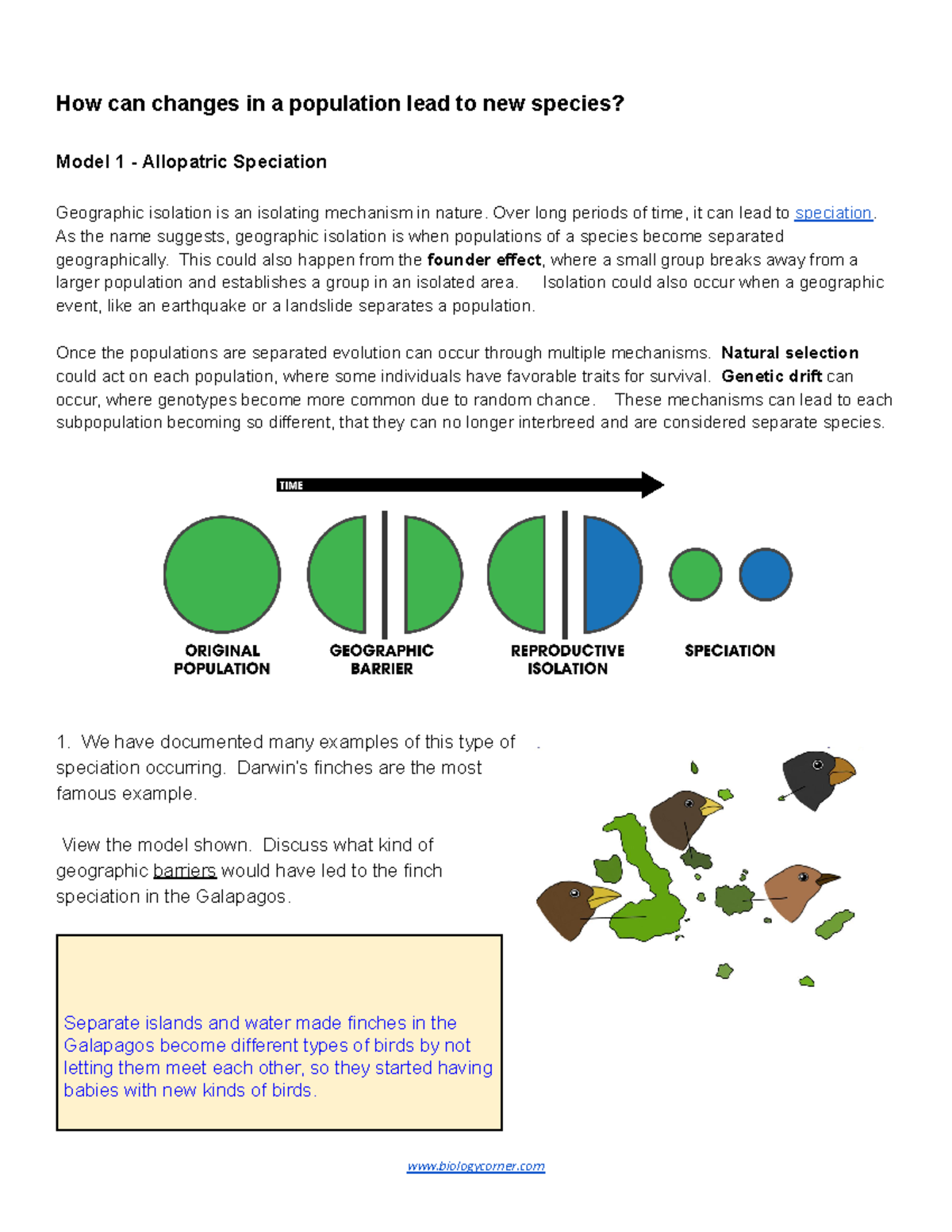 - Speciation Activity - How can changes in a population lead to new ...