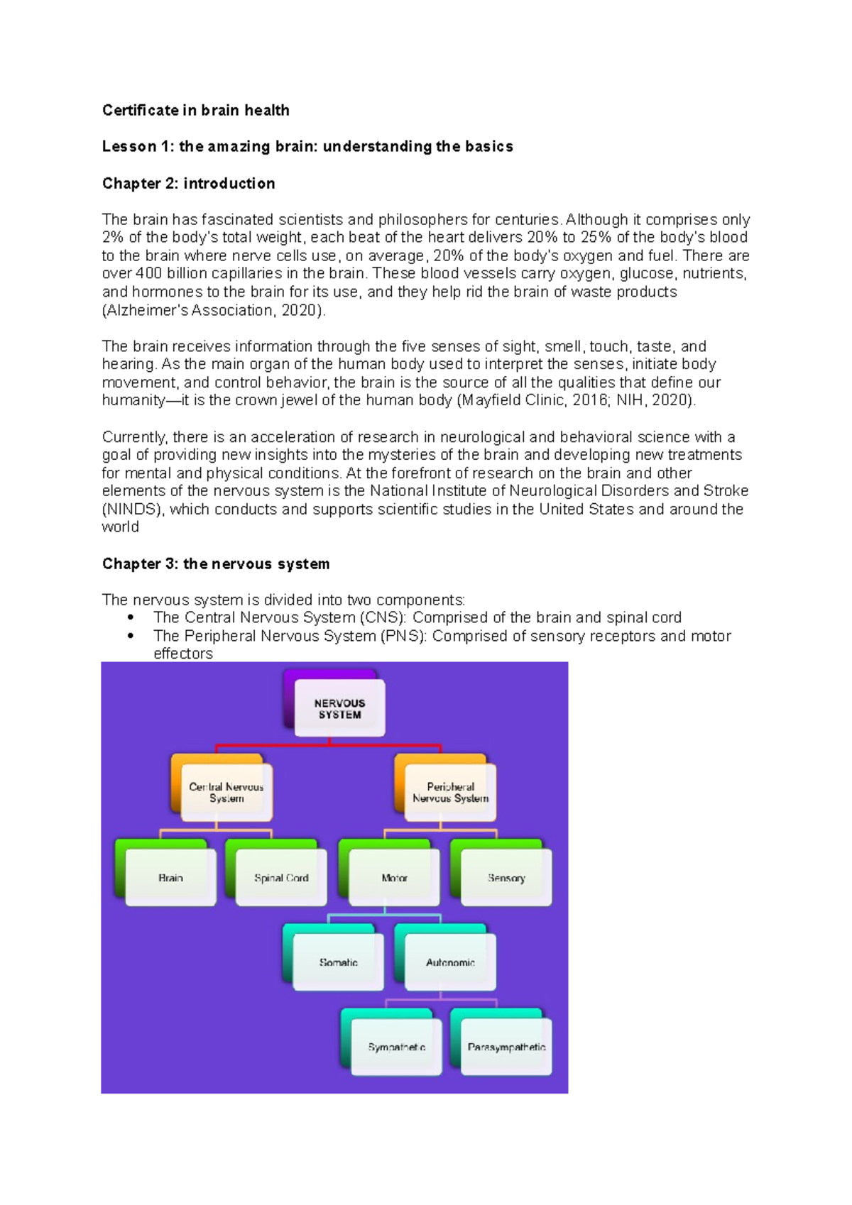 Brain health notes - Certificate in brain health Lesson 1: the amazing ...