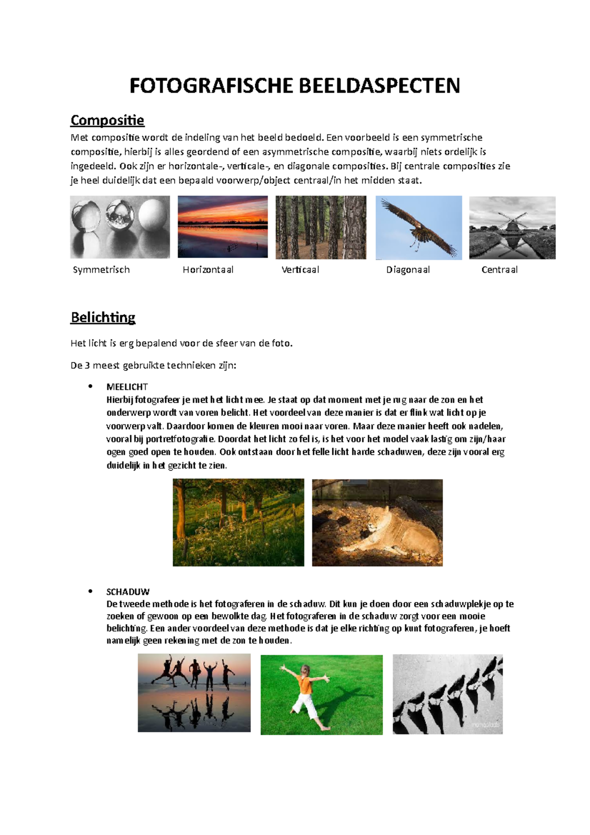 Fotografische Beeldaspecten - FOTOGRAFISCHE BEELDASPECTEN Compositie ...