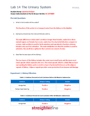 Air Masses and Fronts (Lab 6) - Your Name ...