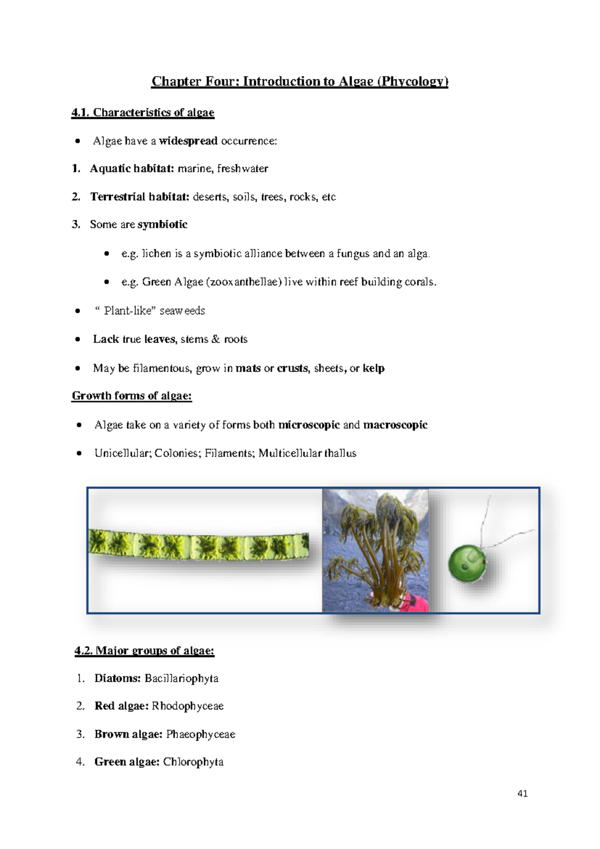 Micro notes 7 - Dr. Stanton - Chapter Four: Introduction to Algae ...