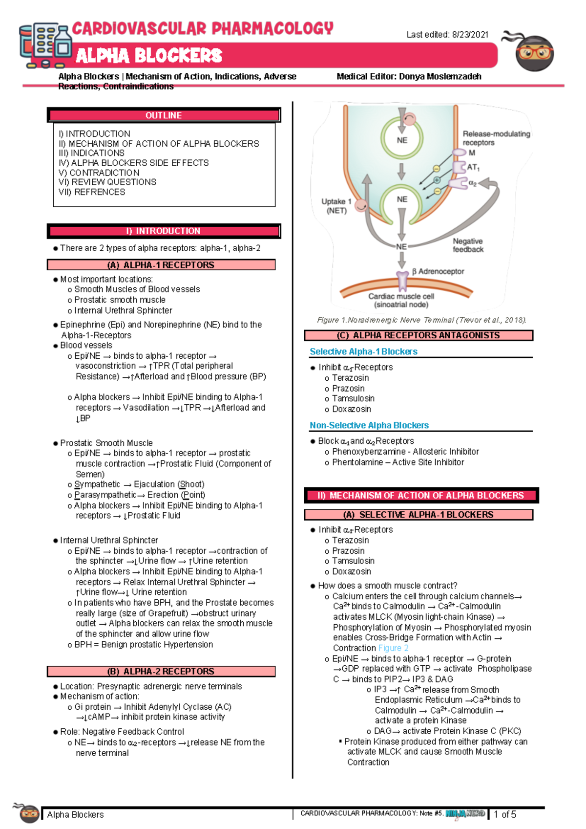 5. Alpha Blockers - Pharma - Alpha Blockers CARDIOVASCULAR PHARMACOLOGY ...