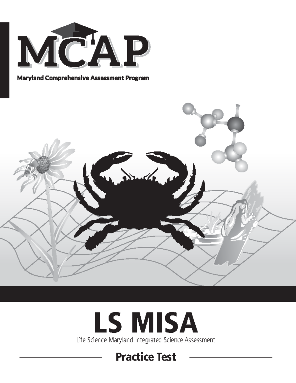 MD 22-23 MISA PT webready - LS MISA Life Science Maryland Integrated Science Assessment Practice ...