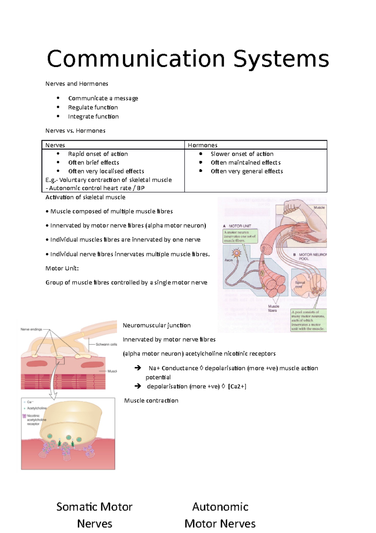 Communication Systems - Communication Systems Nerves and Hormones ...