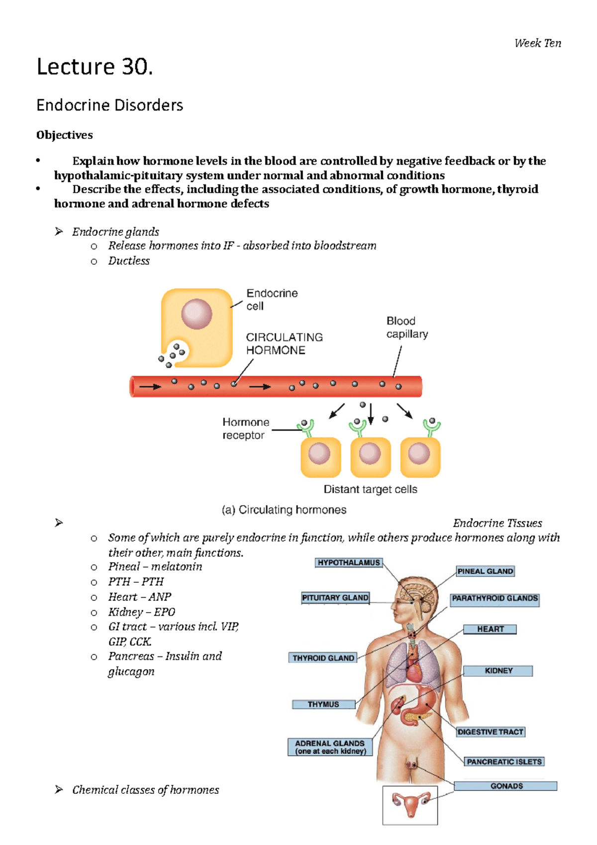 HUBS2505 Lecture 30 - Summary Notes - Lecture 30. Endocrine Disorders ...