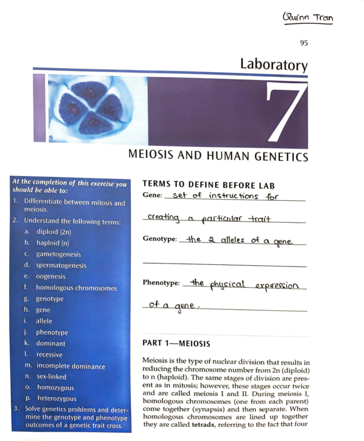 Tran - Lab Report 7 - At the completion of this exercise you should be able to: Differentiate ...