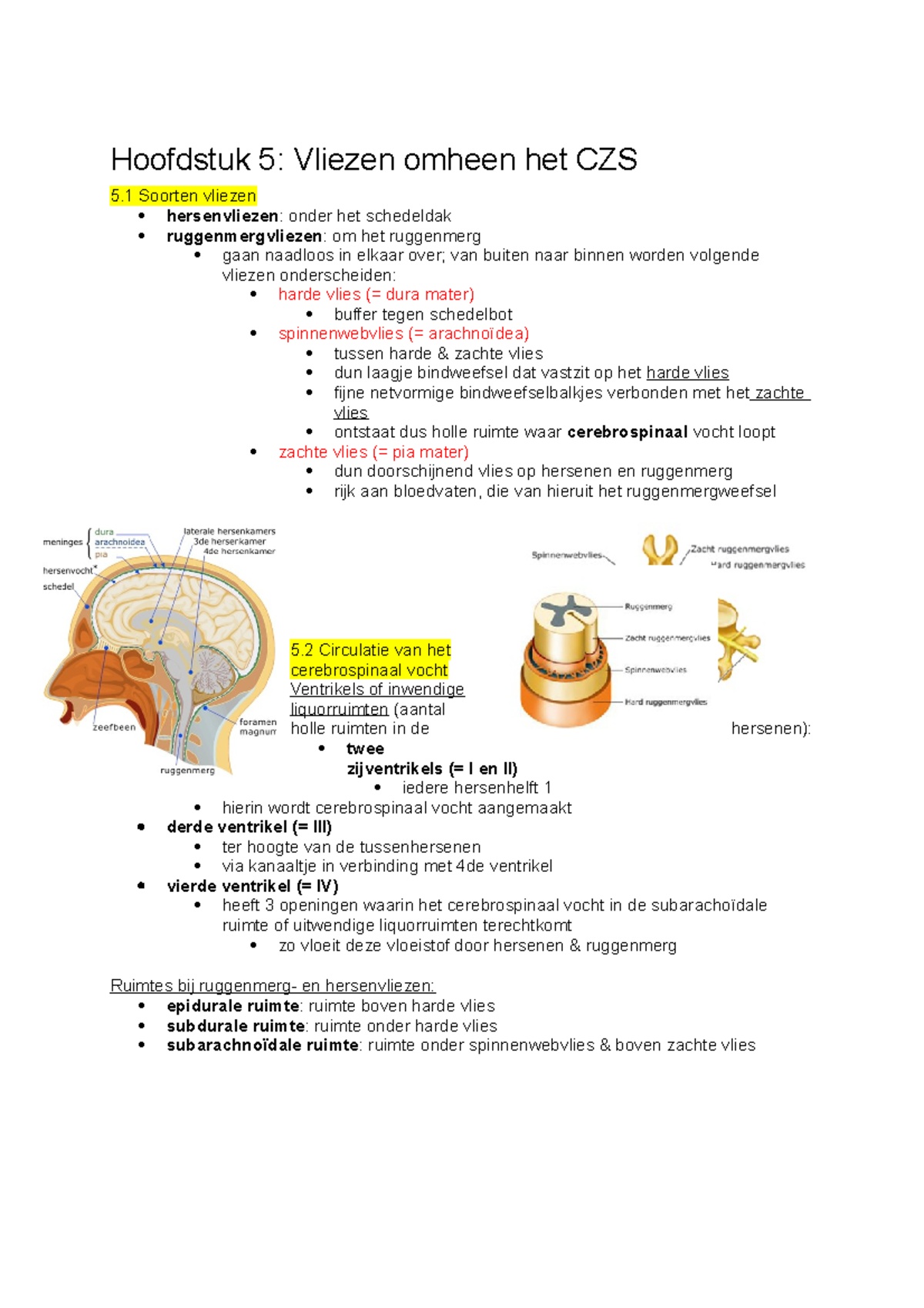 Biologie hoofdstuk 5: vliezen omheen het centrale zenuwstelsel ...