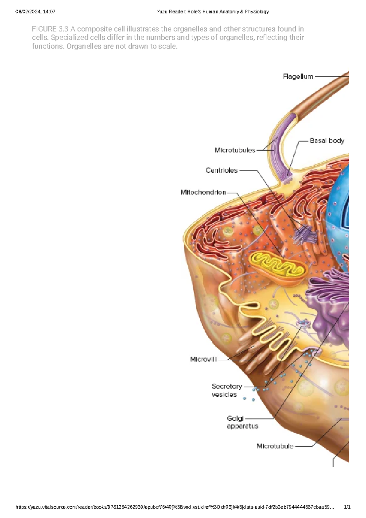 Yuzu Reader Hole's Human Anatomy & Physiology - 06/02/2024, 14:07 Yuzu ...