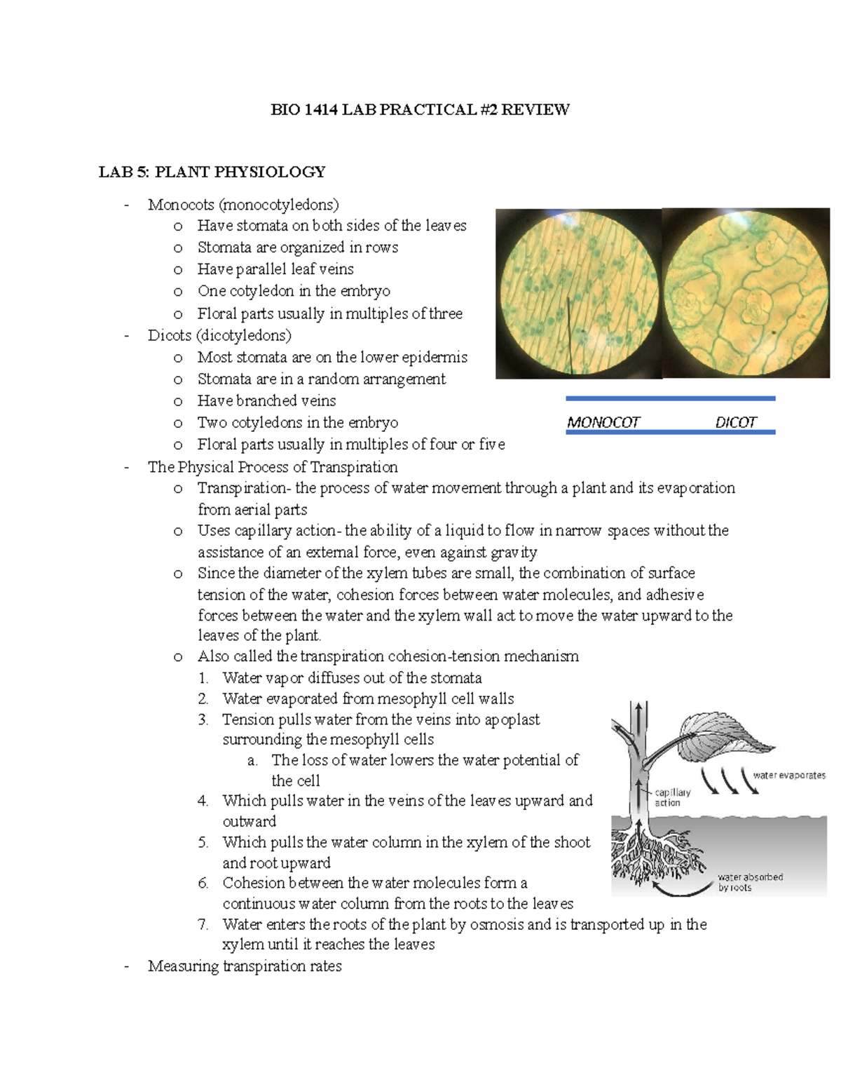 BIO 1414 LAB Practical #2 - BIO 1414 LAB PRACTICAL #2 REVIEW LAB 5 ...