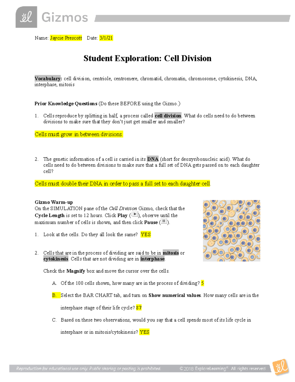 Meiosis Gizmo Answer Key Straubel Biology 2010 2011 Hananelhandbags