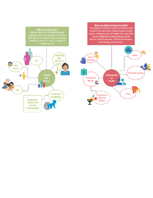 Graphic Organizing of Disease - 3-2 Activity: Risk Factors Knowing the ...