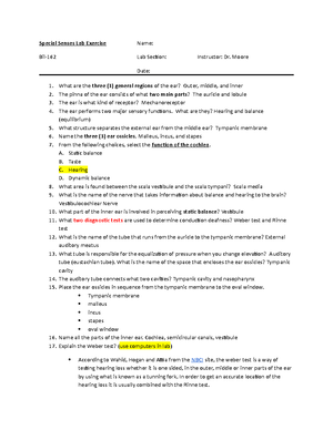 Digestive System Lab Worksheet. completed - Digestive System In Class ...