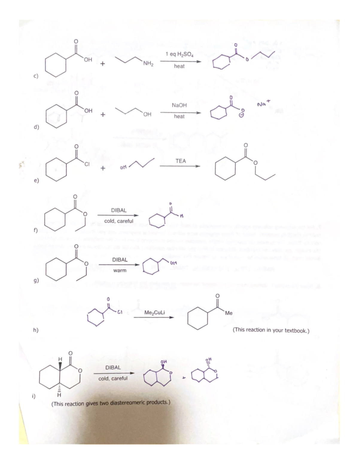 Fischer esterification - CHEM 224.04 - Studocu