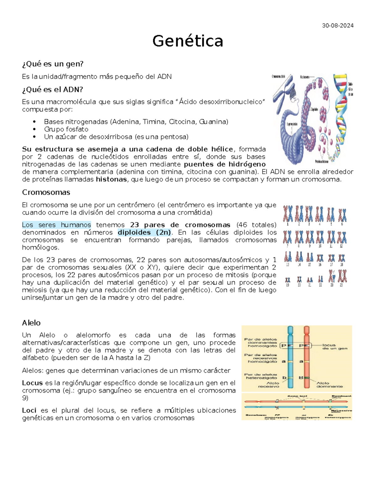 Genética - 30-08- Genética ¿Qué es un gen? Es la unidad/fragmento más ...