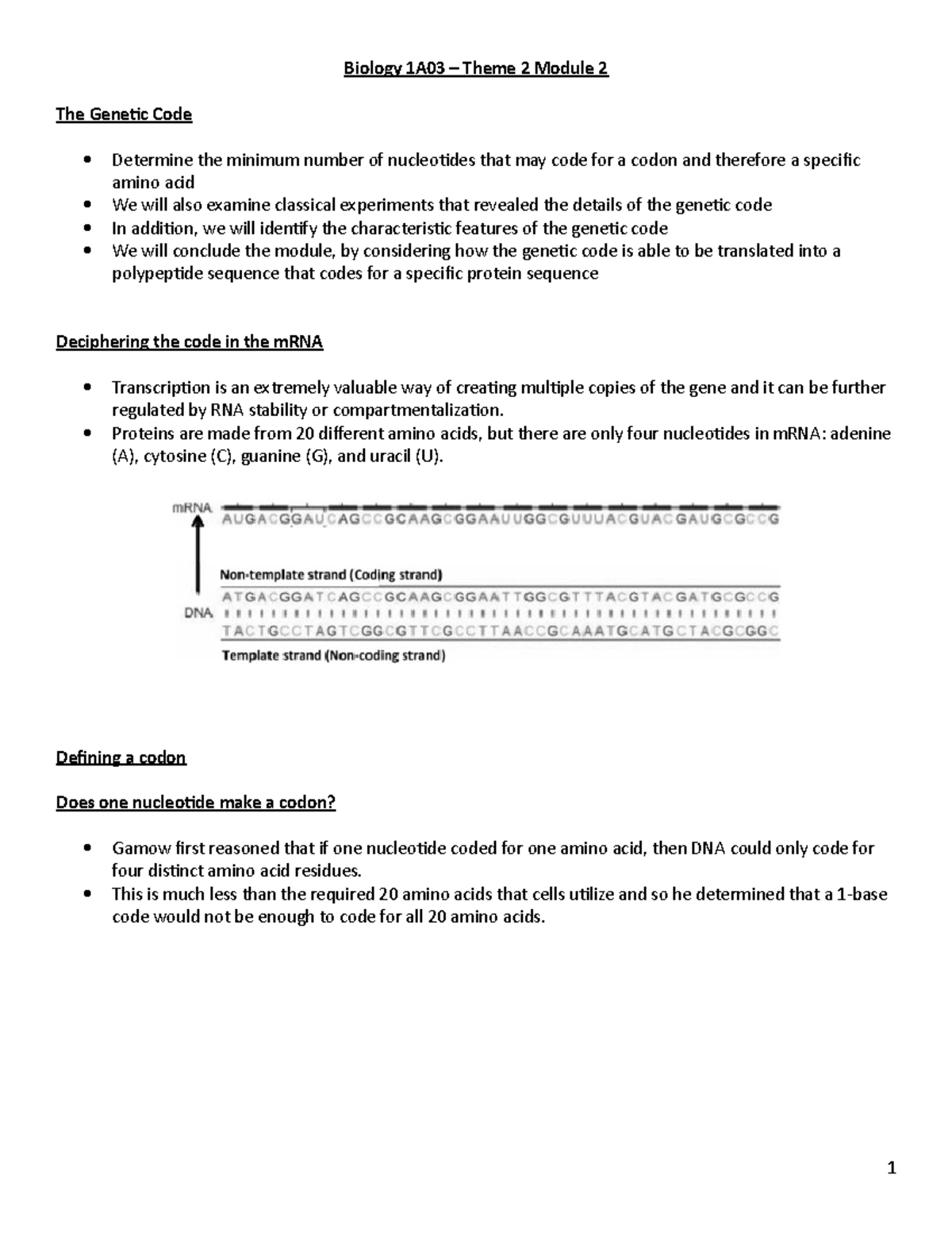 Biology 1A03 – Theme 2 Module 2 - Biology 1A03 – Theme 2 Module 2 The ...