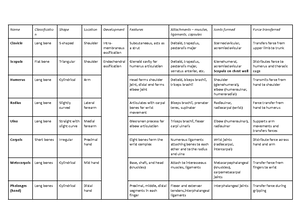 Lower limb - Name Classification Shape Location Development Features ...