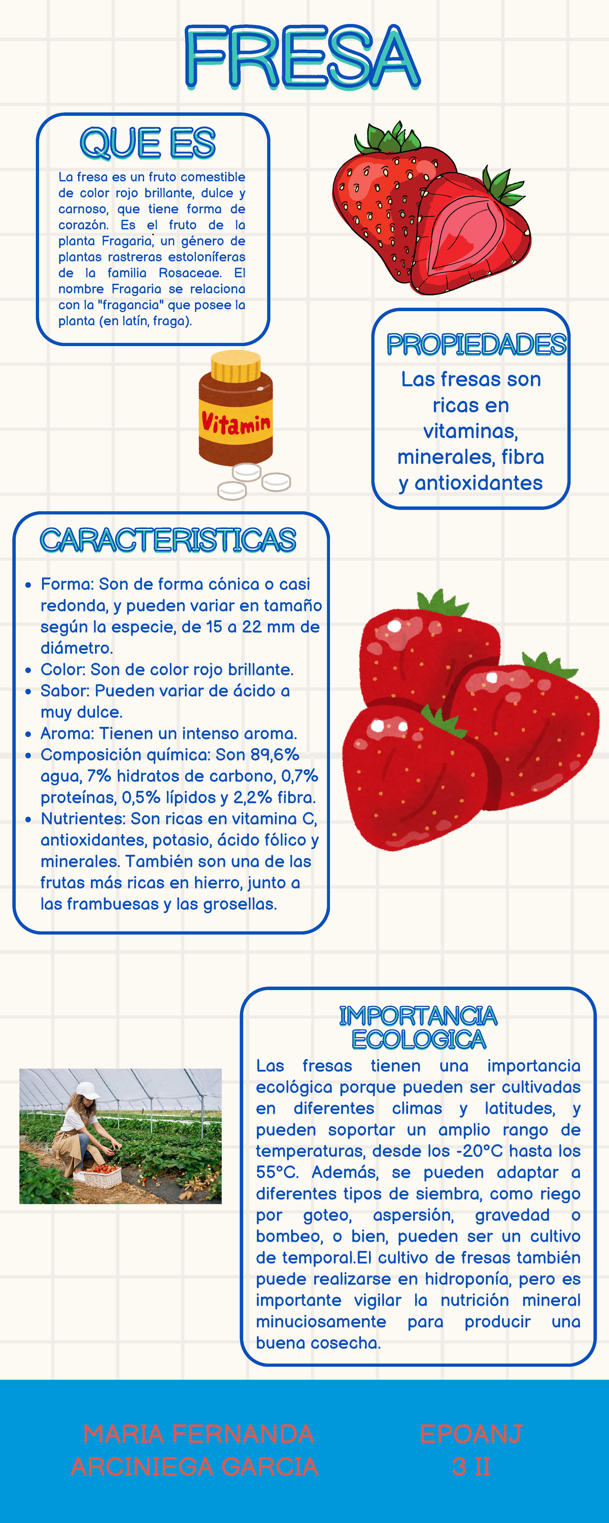 Info de fresa - te sirve - . Las fresas tienen una importancia ...