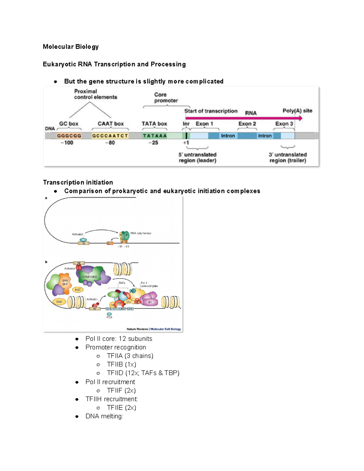 Lecture 5 Eukaryotic RNA Transcription and Processing - Molecular ...