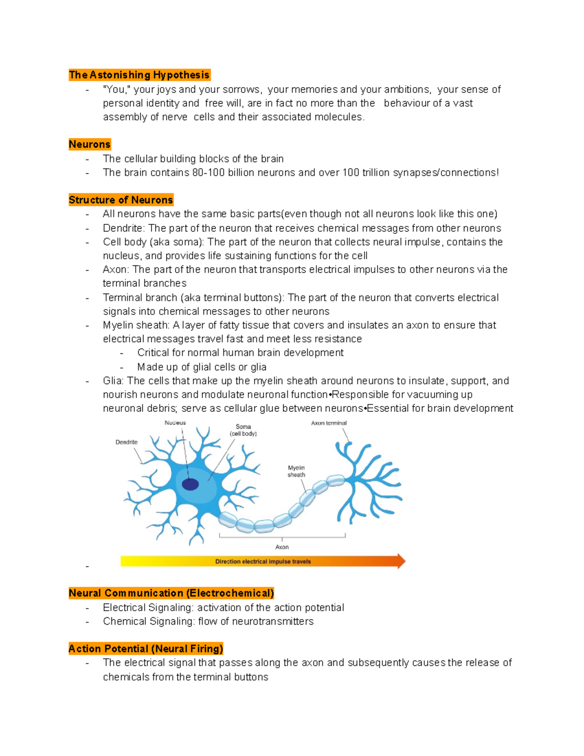 Lec. 8-9 Biological Bases of Behavior - PSYC 001 - UC Riverside - Studocu