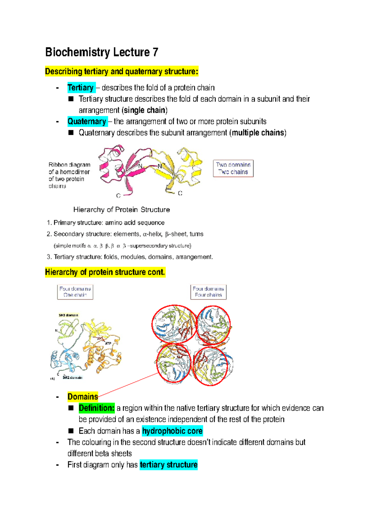 Biochemistry Lecture 7 - Domains Definition: a region within the native ...