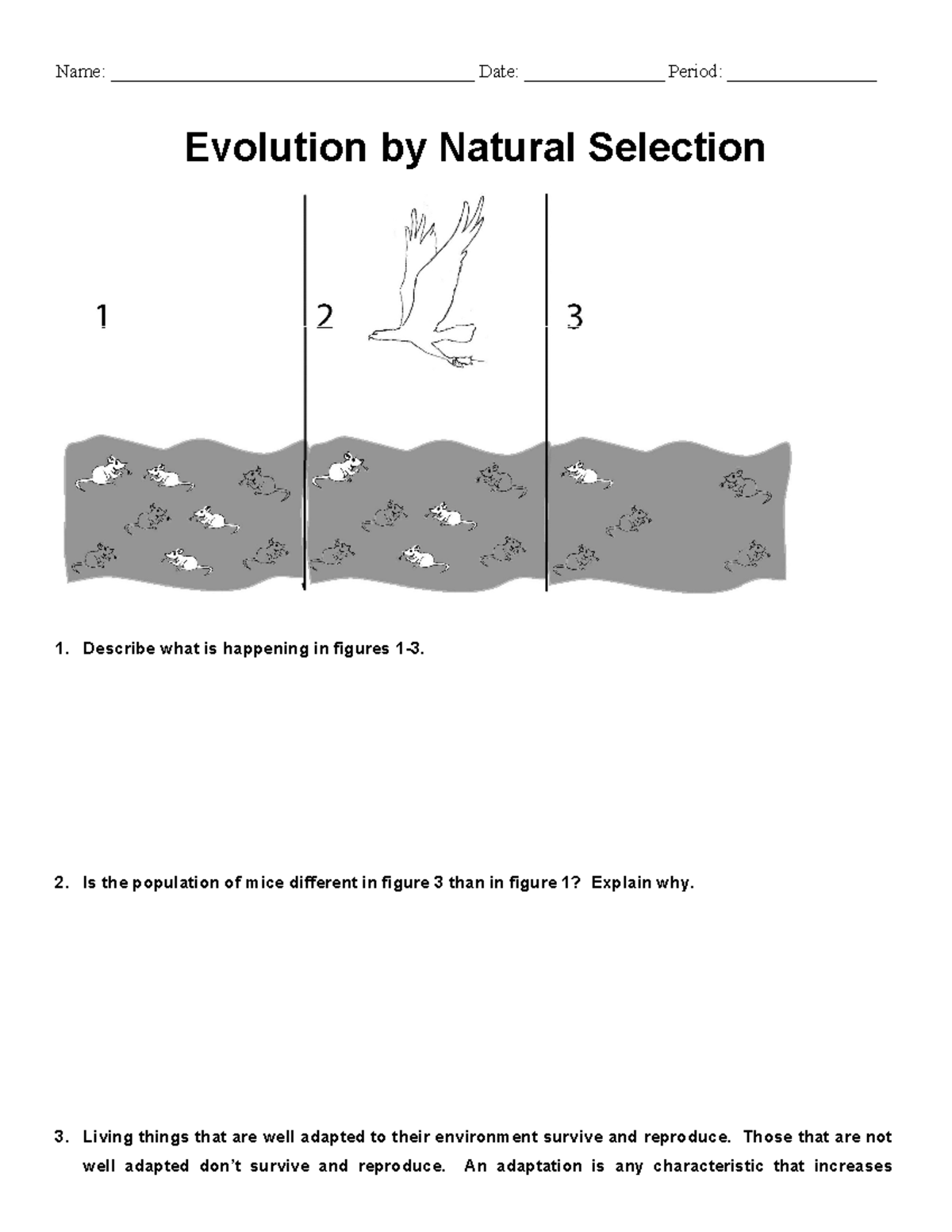 Evolution by natural selection - Name ...