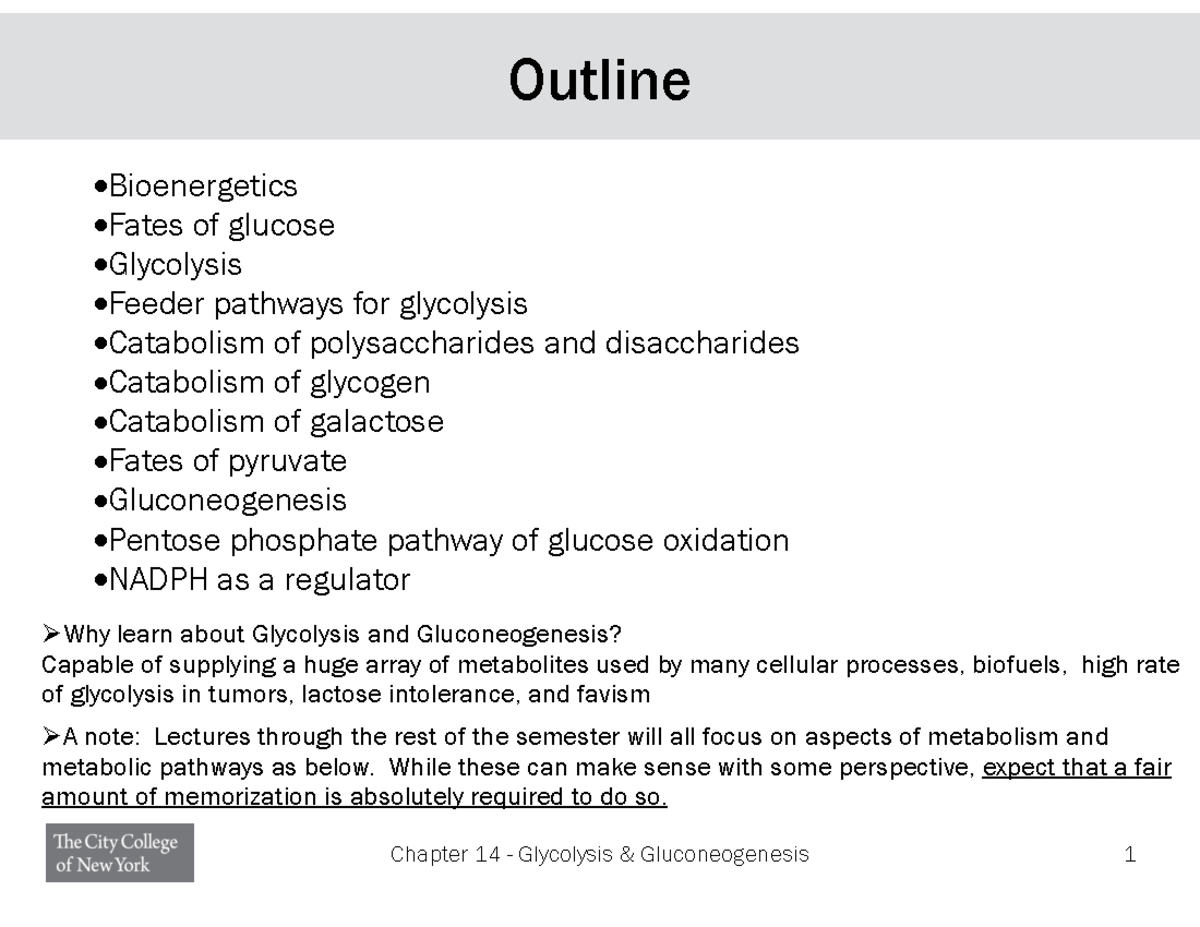 Biochem final glycolysis - Outline Bioenergetics Fates of glucose ...