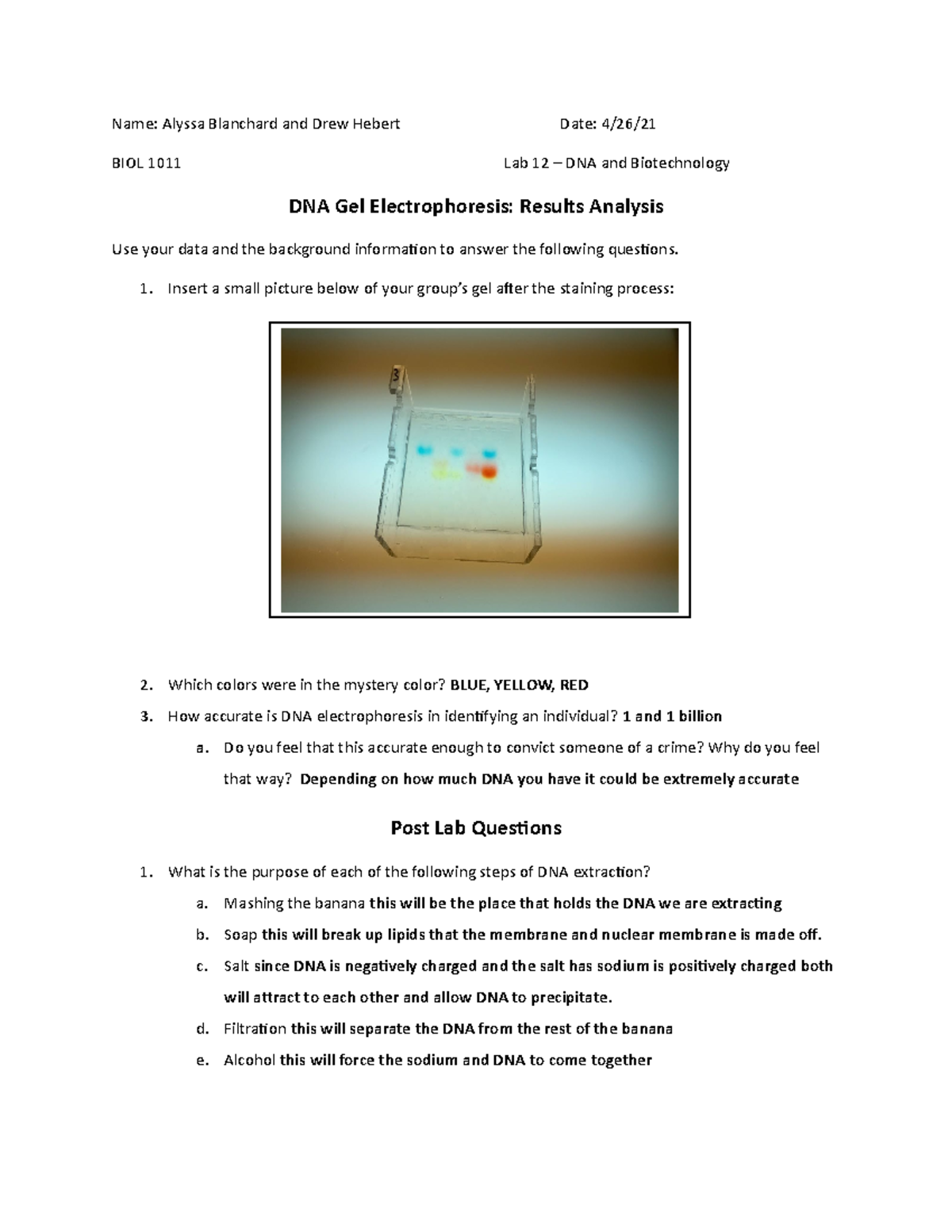 Lab 11 - DNA Biotech Hand-In - Name: Alyssa Blanchard and Drew Hebert ...