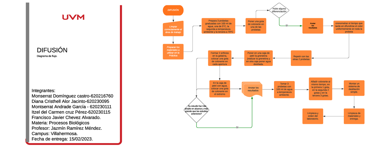 Diagrama de flujo Práctica #2 - Dibujo anatómico - UVM - Studocu