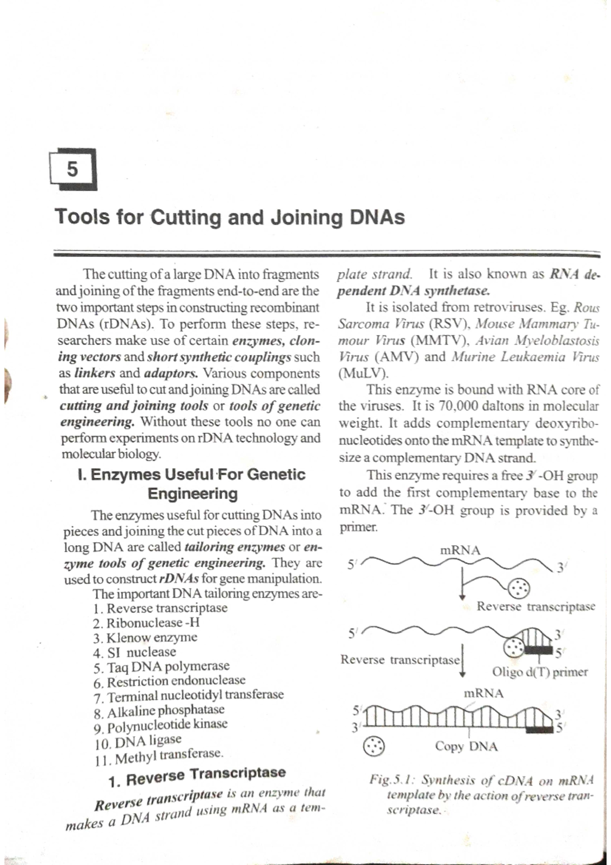 Enzymes - genetic engineering tool - Molecular Biology And Genetic ...