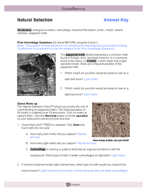 World History module 3 notes FLVS - 03 West African Kingdoms Guided ...