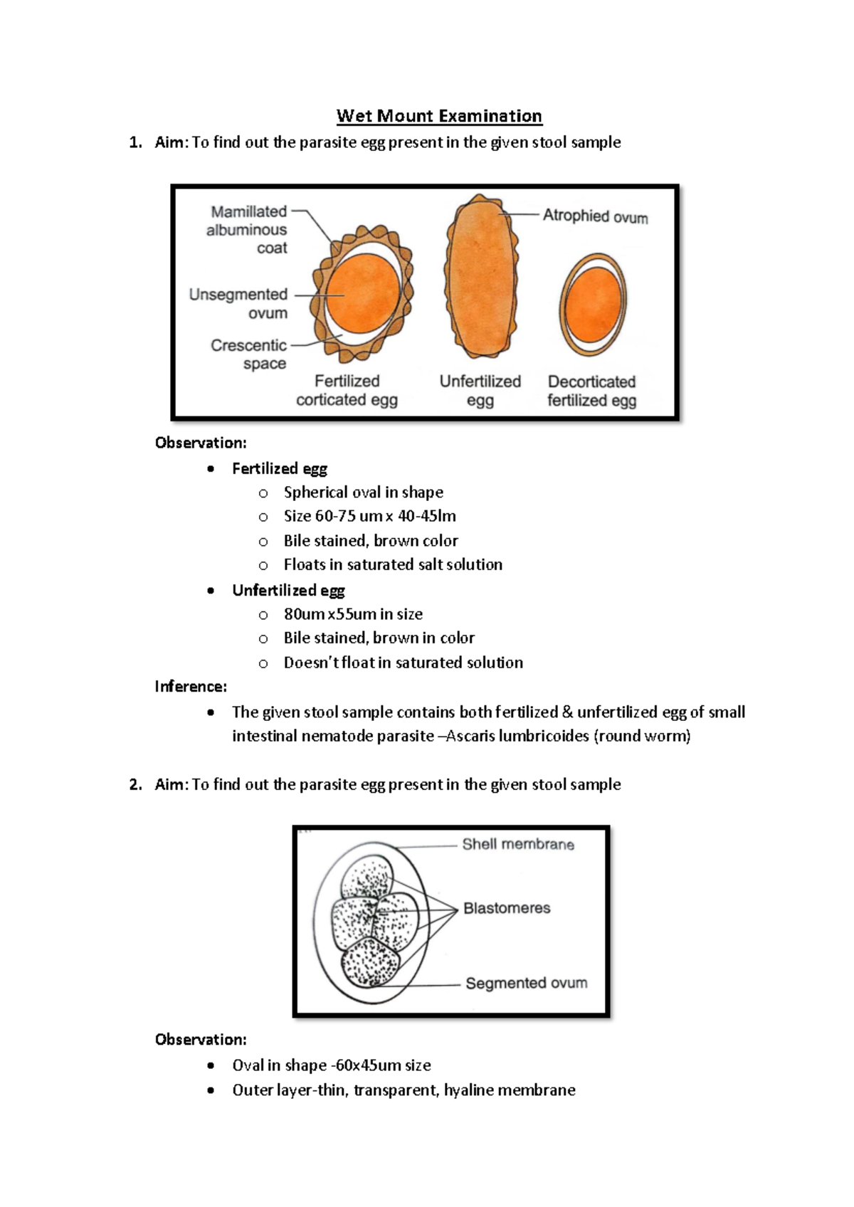 Wet mount examination - Wet Mount Examination Aim: To find out the ...