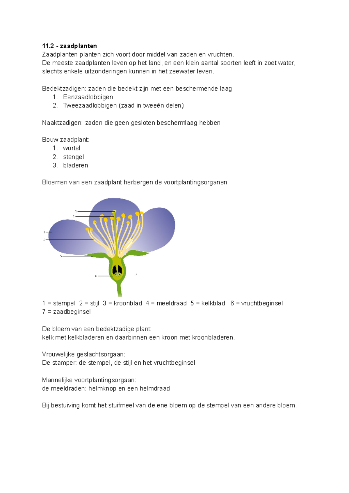 Biologie - H11 - 11 - zaadplanten Zaadplanten planten zich voort door ...