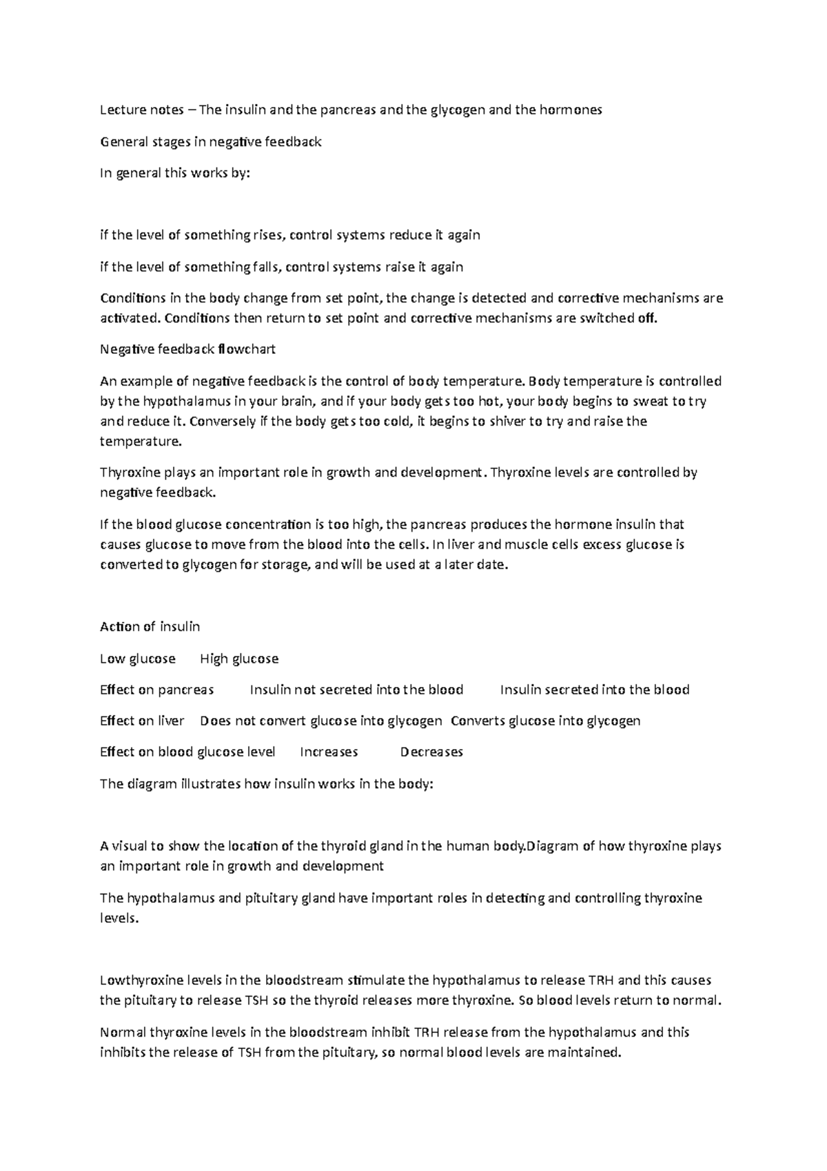 Lecture notes – The insulin and the pancreas and the glycogen and the ...