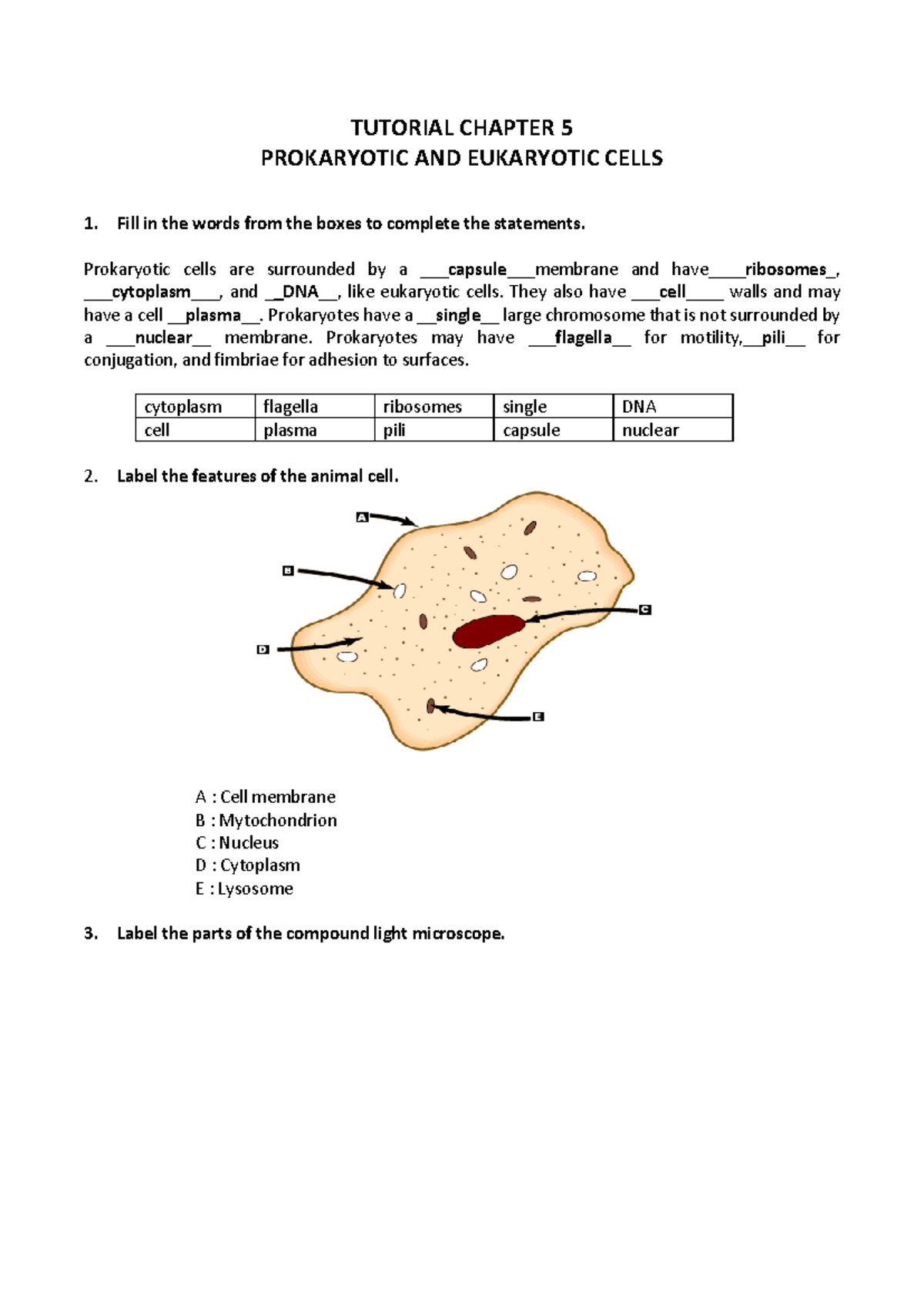 Tutorial - Chapter 5 Prokaryote AND Eukaryote Cells - TUTORIAL CHAPTER ...
