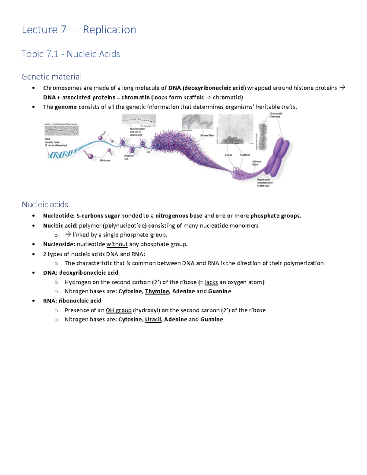 BIO1140 Module 7 - Replication - Lecture 7 — Replication Topic 7 ...