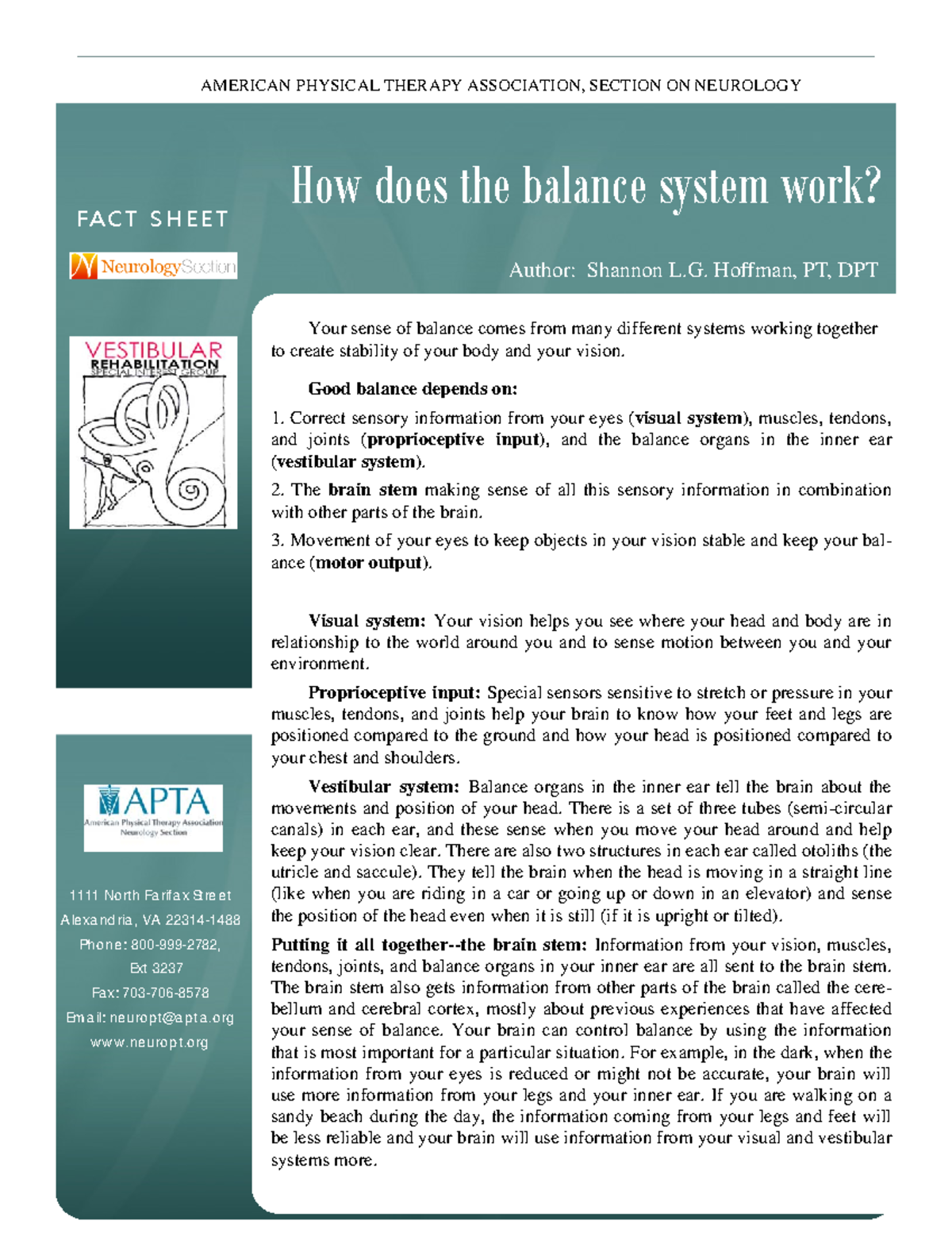 How does the balance system work1 - Good balance depends on: Correct ...