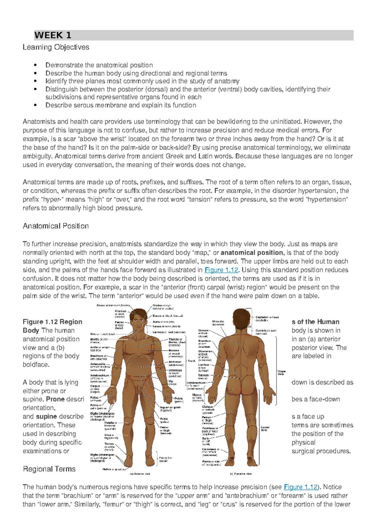 Human Anatomy Reading Notes - WEEK 1 Learning Objectives Demonstrate ...